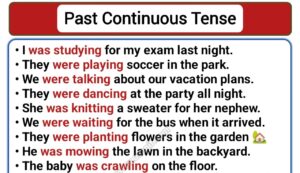 100 Past Continuous Tense Examples: All Types Of Sentences